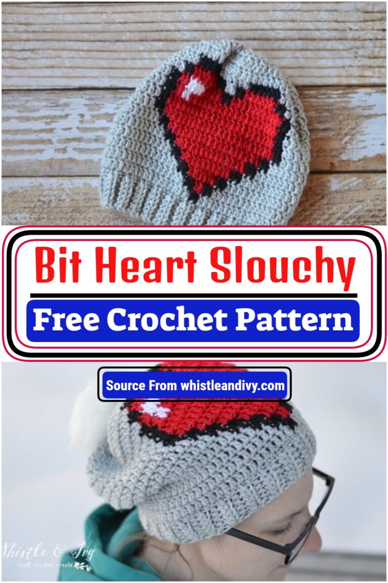 23 Crochet Hat Patterns For Winter Wardrobe - DIYsCraftsy
