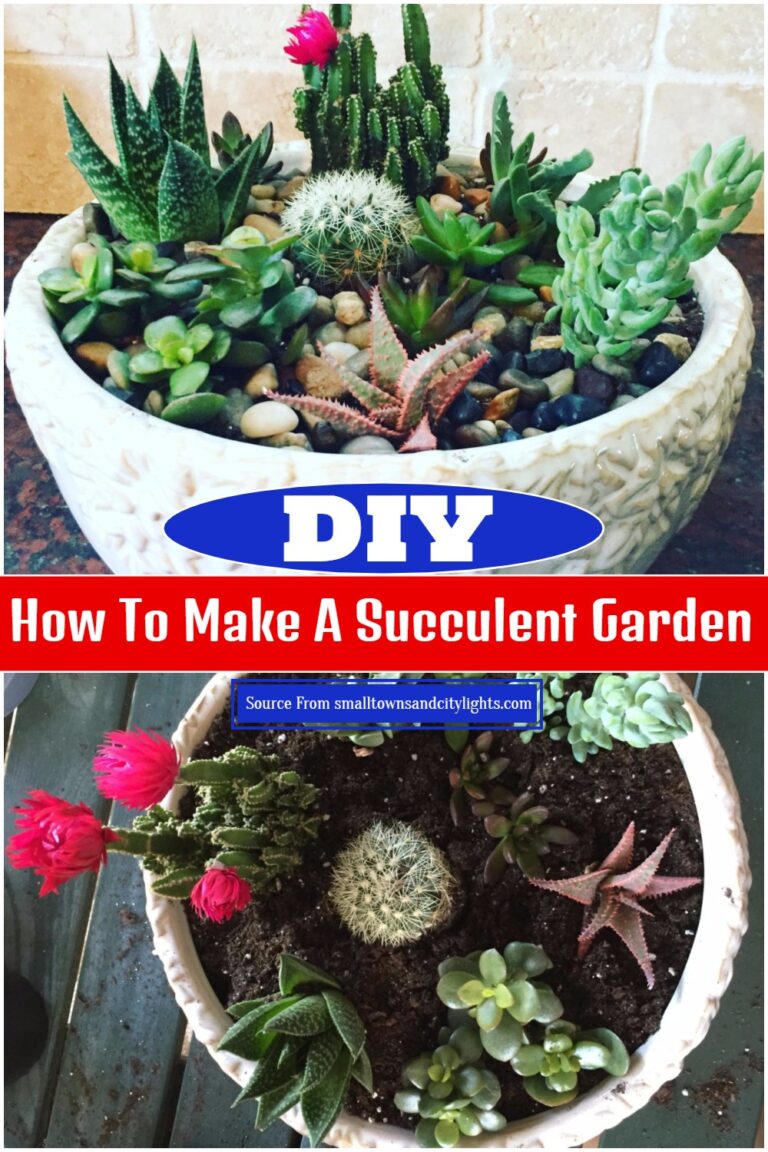 15 DIY Succulent Planter Ideas For Indoor & Outdoor - DIYsCraftsy