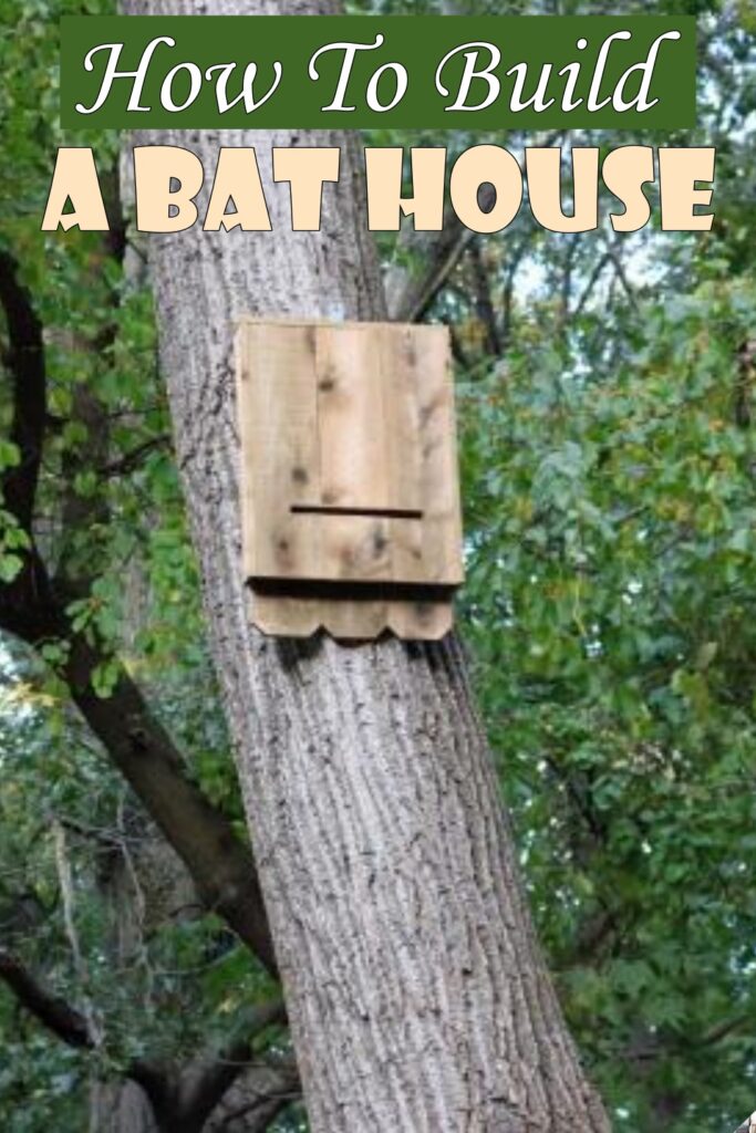 10 DIY Bat House Plans You Can Build Today - DIYsCraftsy