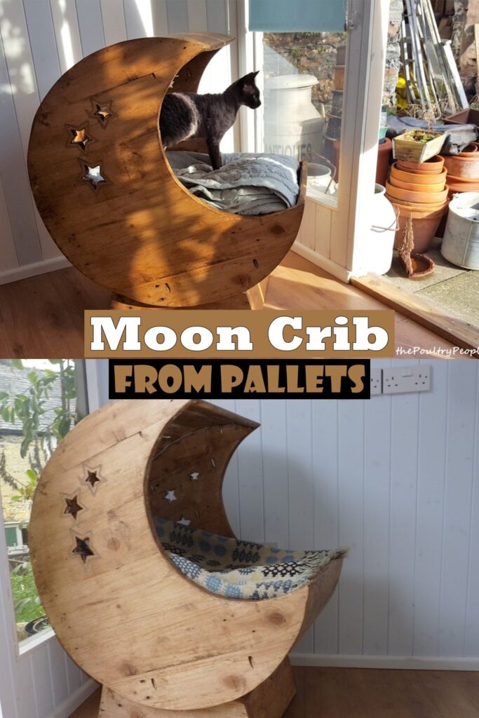 10 DIY Cat Bed Ideas That Anyone Can Do It - DIYsCraftsy