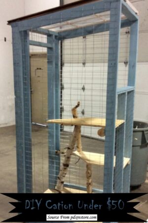 22 Easy DIY Catio Ideas And Plans - DIYsCraftsy