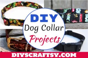 31 Easy DIY Dog Collar Projects For Beginners - DIYsCraftsy