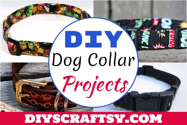 31 Easy DIY Dog Collar Projects For Beginners - DIYsCraftsy