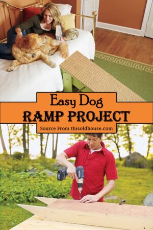 29 DIY Dog Ramp Plans For Your Canine Pet - DIYsCraftsy