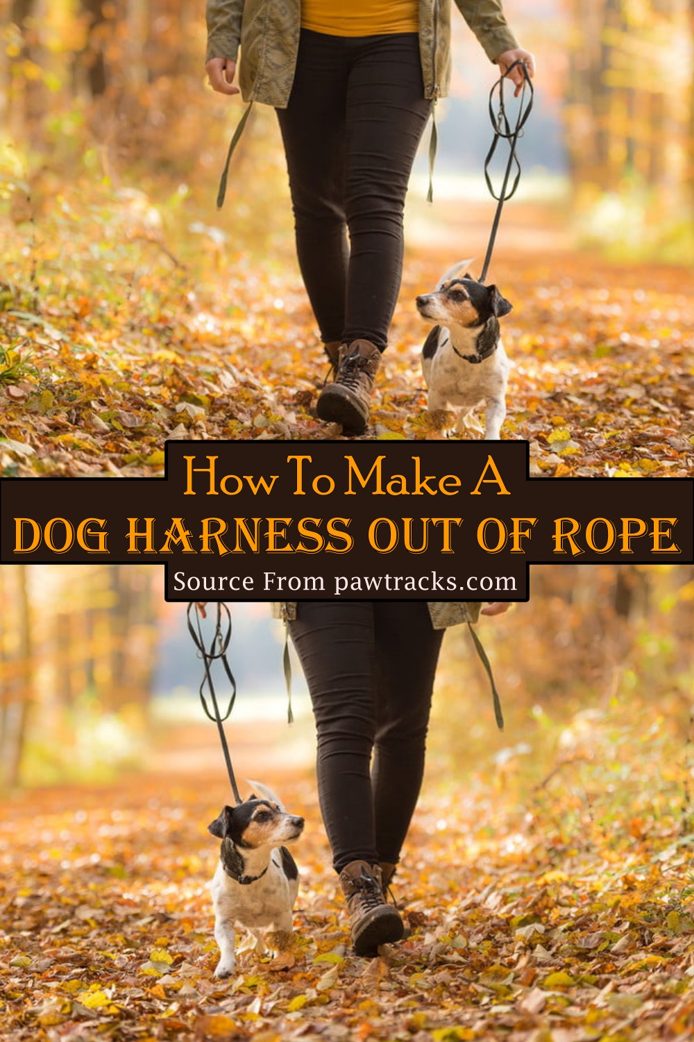 22 DIY Dog Harness Projects DIYsCraftsy