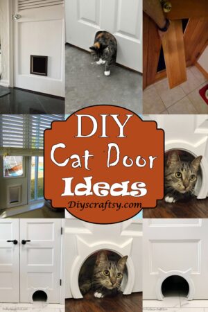 9 DIY Cat Door Ideas For Pet Lovers - DIYS Craftsy