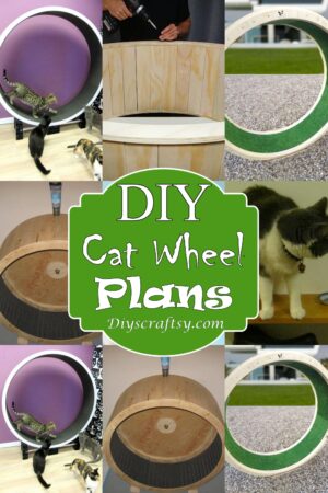 15 Best DIY Cat Wheel Plans For Felines Excercise - DIYs Craftsy