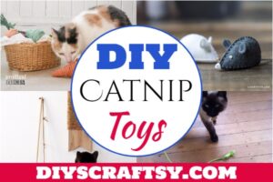 16 DIY Catnip Toys You Can Make Today - DIYsCraftsy