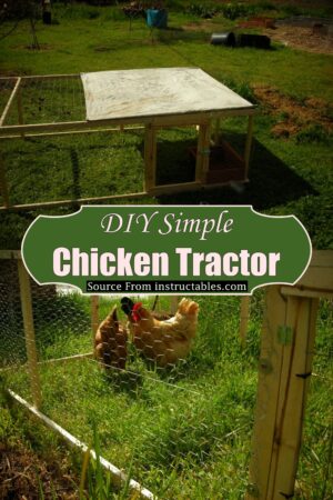 22 DIY Chicken Tractor Plans That Anyone Can Make - DIYsCraftsy