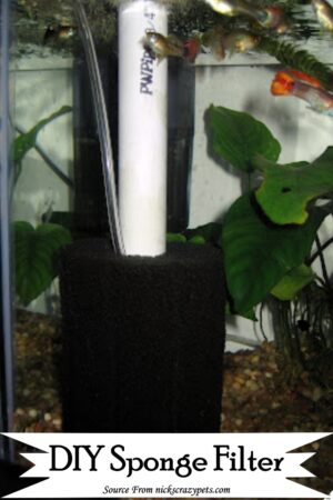 10 DIY Sponge Filter Ideas - DIYsCraftsy