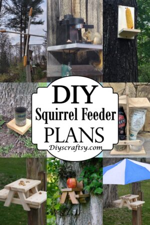 28 DIY Squirrel Feeder Plans For Your Backyard - DIYS Craftsy