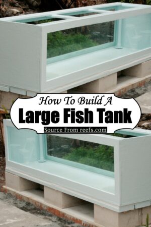 22 DIY Aquarium Projects That Are Full Of Creativity - DIYsCraftsy