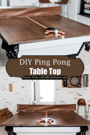 27 DIY Ping Pong Table Projects - DIYsCraftsy