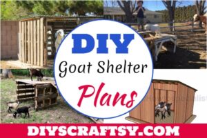 15 Free DIY Goat Shelter Plans For All Sizes, Looks & Features ...