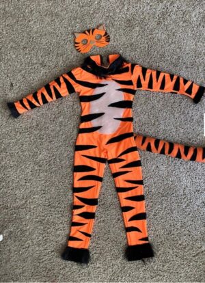 25 Easy DIY Tiger Costume Projects - DIYsCraftsy