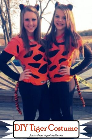 25 Easy DIY Tiger Costume Projects - DIYsCraftsy