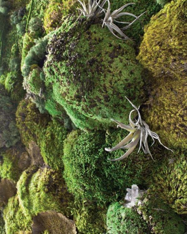 23 DIY Moss Wall Art Ideas For Home Decor - DIYsCraftsy