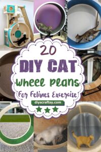 20 Best DIY Cat Wheel Plans For Felines Excercise - DIYsCraftsy