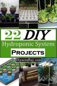 22 DIY Hydroponic System Projects - DIYsCraftsy