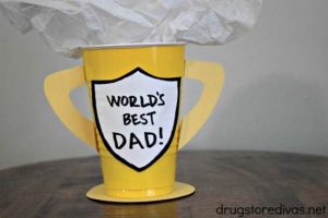 21 DIY Trophy Ideas To Appreciate Achievements - DIYsCraftsy