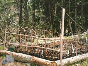 10 DIY Tree Branch Fence Plans - DIYsCraftsy