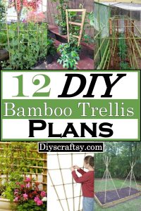 12 DIY Bamboo Trellis Plans For Vertical Gardening - DIYsCraftsy