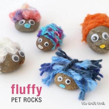 20 DIY Pet Rocks Ideas For Kids - DIYsCraftsy