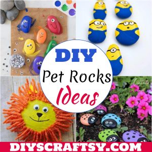 20 DIY Pet Rocks Ideas For Kids - DIYsCraftsy