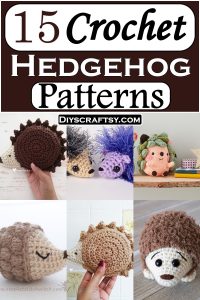 24 Hedgehog Crochet Patterns - DIYsCraftsy