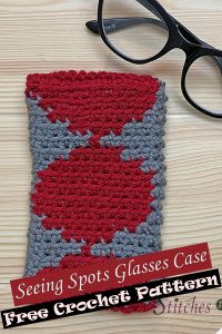 30 Crochet Glasses Case Patterns For Every Glasses User - DIYsCraftsy