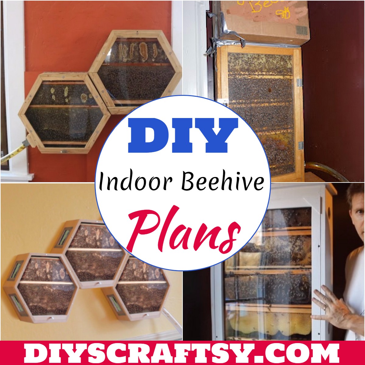 10 DIY Beehive Plans For Indoor Decorations - DIYsCraftsy