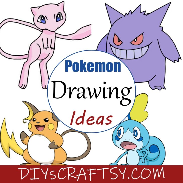 15 Pelican Drawing Ideas - How To Draw Pelican - DIYsCraftsy