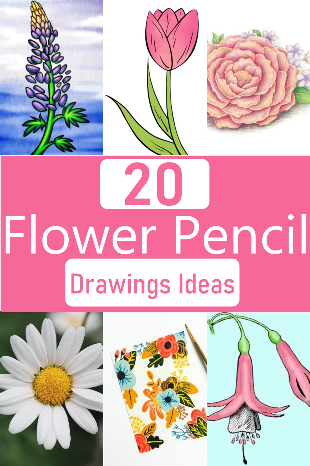 20 Flower Pencil Drawing Ideas For Home Decor - DIYs Craftsy