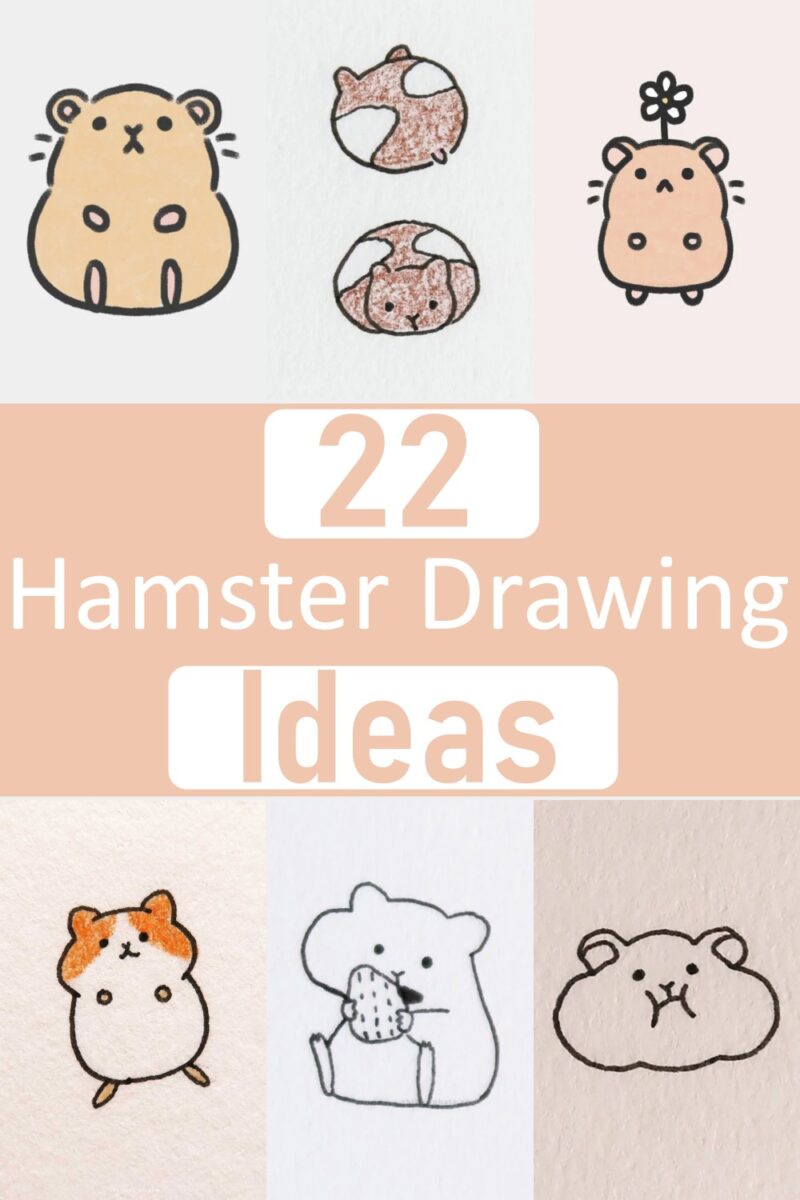 22 Hamster Drawing Ideas For Pet Lovers - DIYs Craftsy