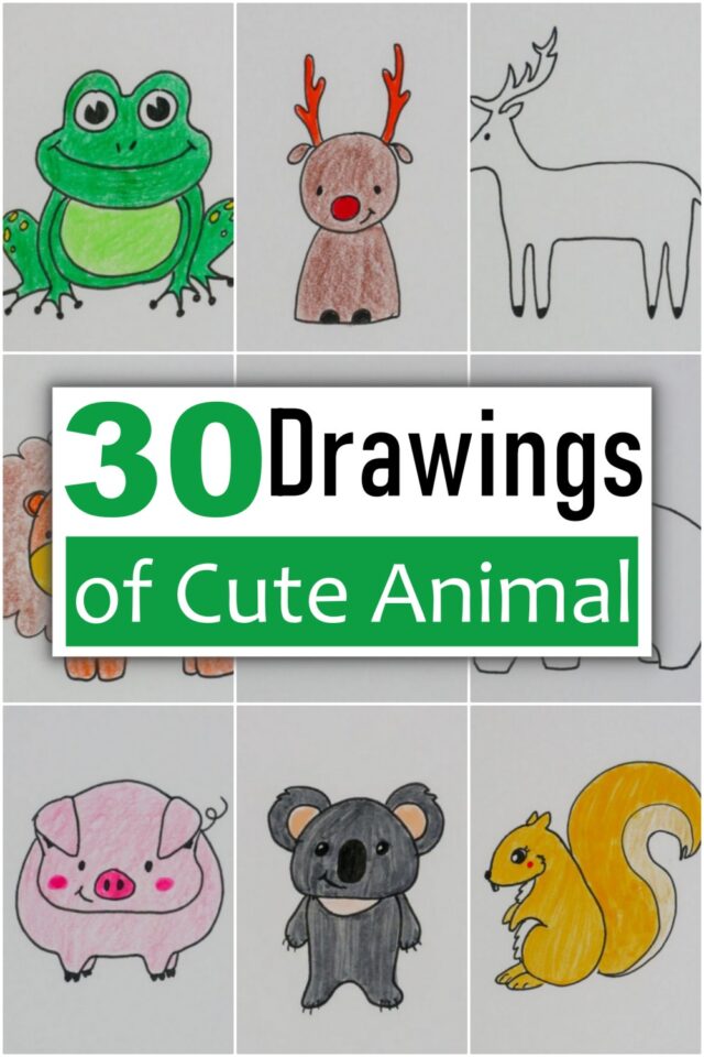 30 Cute Animal Drawing Ideas - DIYs Craftsy