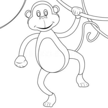 22 Monkey Drawing Ideas - How To Draw Monkey - DIYsCraftsy