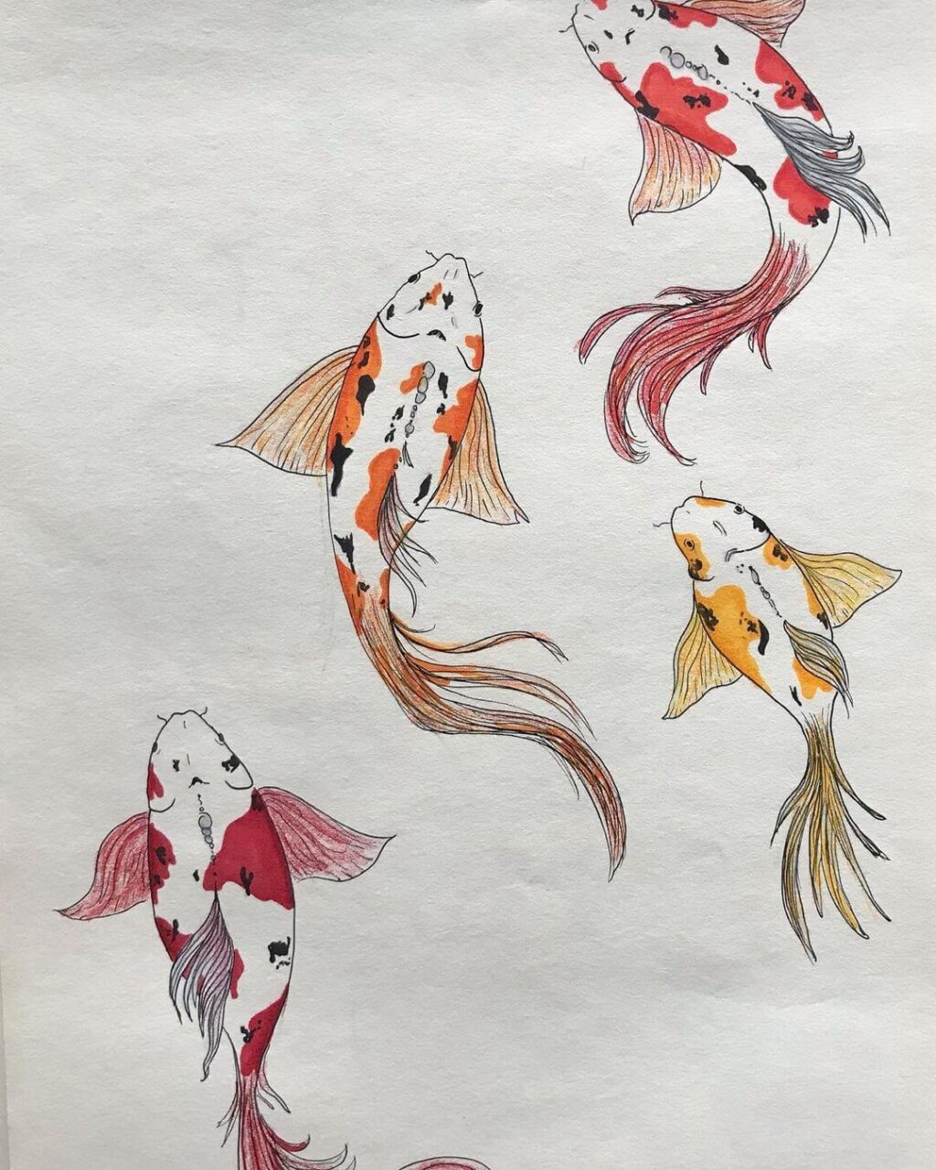 23 Koi Fish Drawing Ideas For Wall Decor - DIYsCraftsy