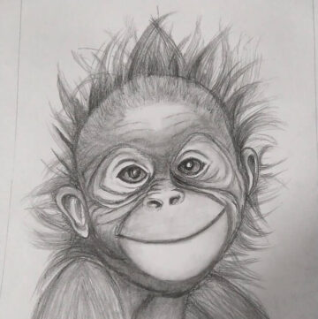 22 Monkey Drawing Ideas - How To Draw Monkey - DIYsCraftsy