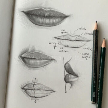 20 Realistic Portrait Drawing Ideas For Beginners - DIYsCraftsy