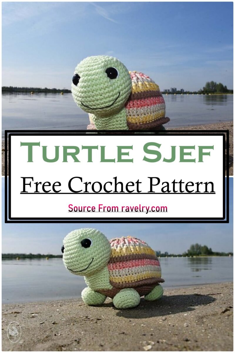 24 Free Crochet Turtle Patterns For Sea Creature Lovers - DIYsCraftsy