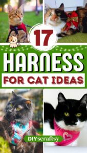 17 DIY Cat Harness Ideas To Train Your Kitties - DIYsCraftsy