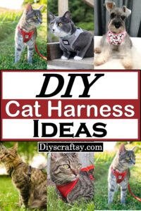 17 DIY Cat Harness Ideas To Train Your Kitties - DIYsCraftsy
