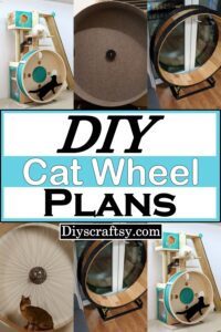 20 Best DIY Cat Wheel Plans For Felines Excercise - DIYsCraftsy