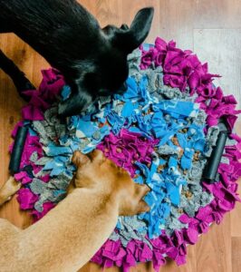 29 DIY Snuffle Mat Ideas You Can Make Easily - DIYsCraftsy