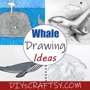 22 Whale Drawing Ideas - How to Draw A Whale - DIYsCraftsy