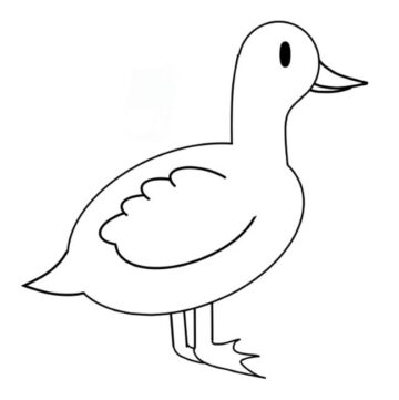 15 Cute Duck Drawing Ideas - How To Draw Duck - DIYsCraftsy