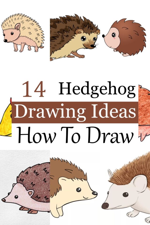14 Hedgehog Drawing Ideas - How To Draw Hedgehog - DIYsCraftsy