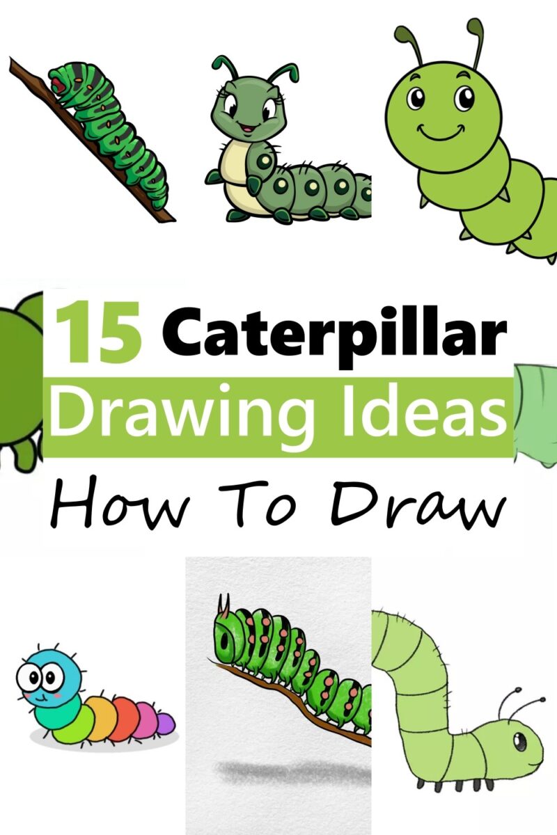 15 Caterpillar Drawing Ideas - How To Draw Caterpillar - DIYsCraftsy