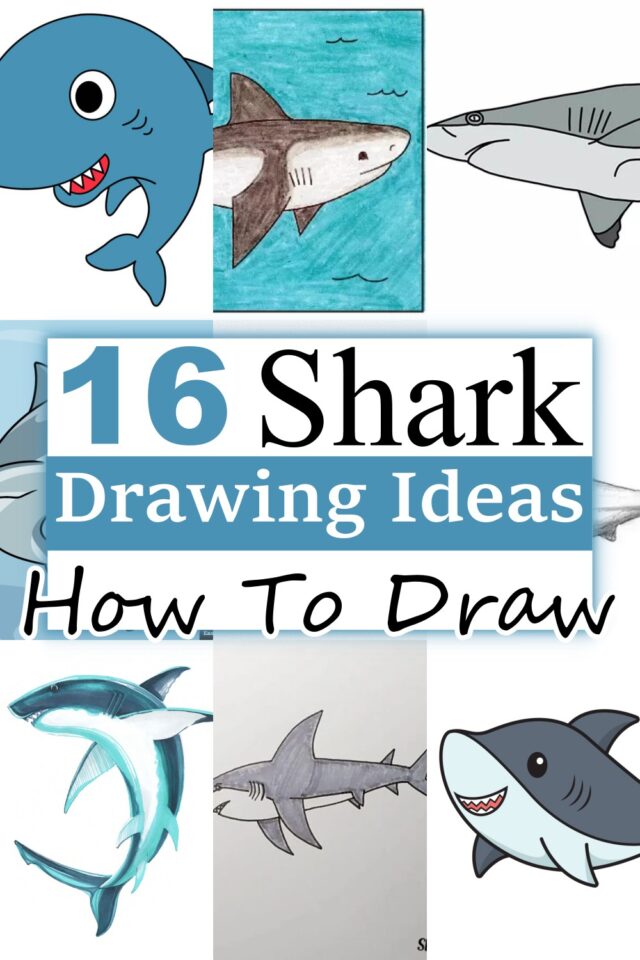 16 Shark Drawing Ideas - How To Draw Shark - DIYsCraftsy
