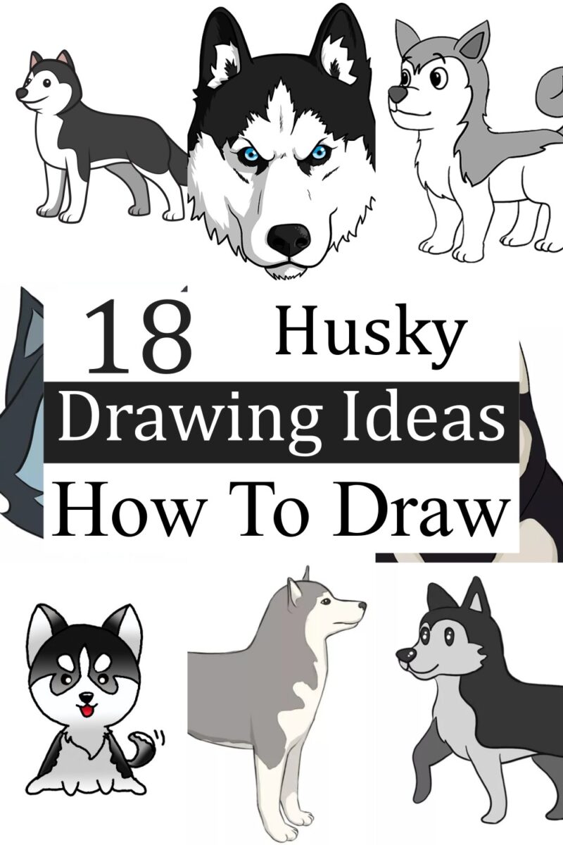 18 Husky Drawing Ideas For Dog Lovers - DIYsCraftsy